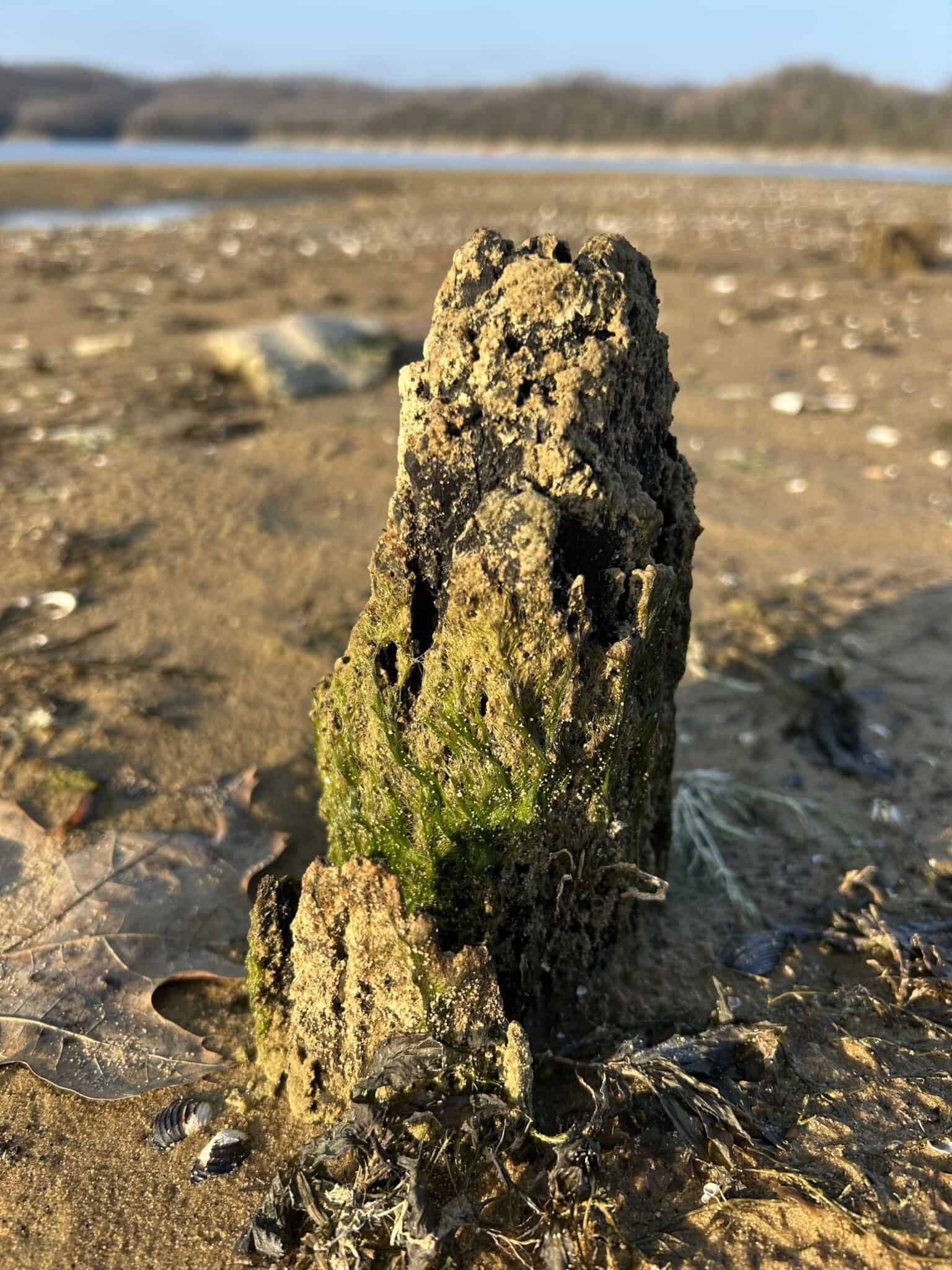 Dale Hollow Lake's Underwater Cemetery: 147 Forgotten Graves